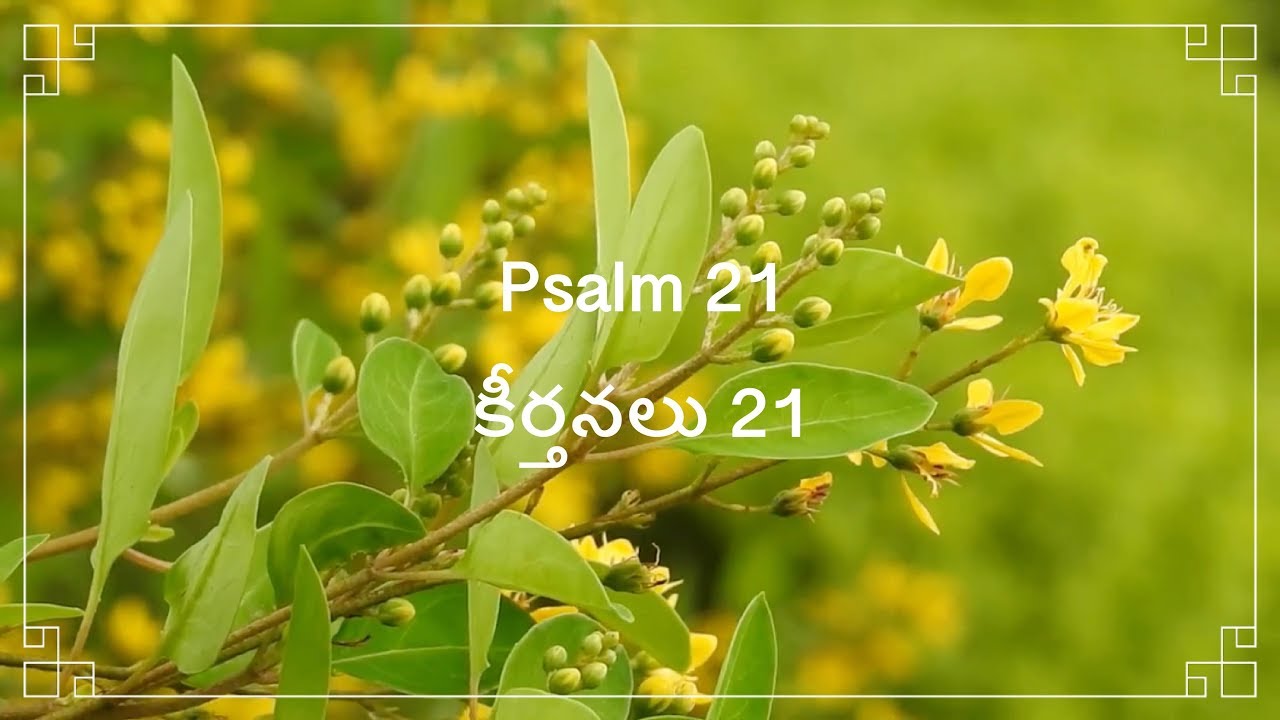 Telugu Bible Audio Psalm 21 21 Voice telugu-bible-audio-psalm-21-21-voice