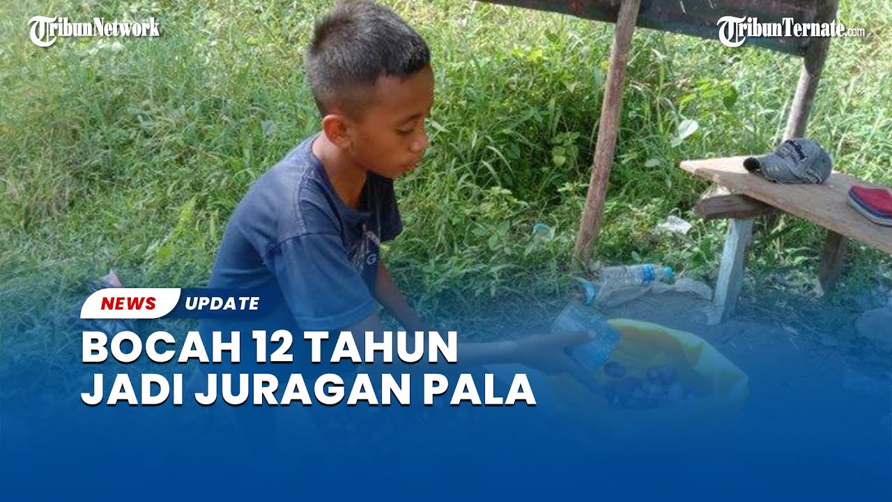 Cerita Bocah 12 Tahun di Halmahera Utara yang Jadi Juragang Buah Pala ...