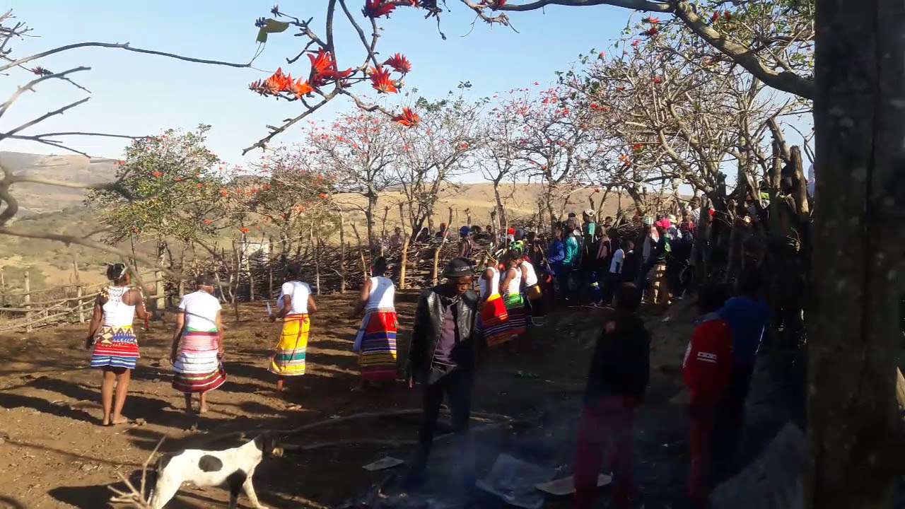 AMASIKO NEZITHETHE ZAWO "XHOSAS" - YouTube