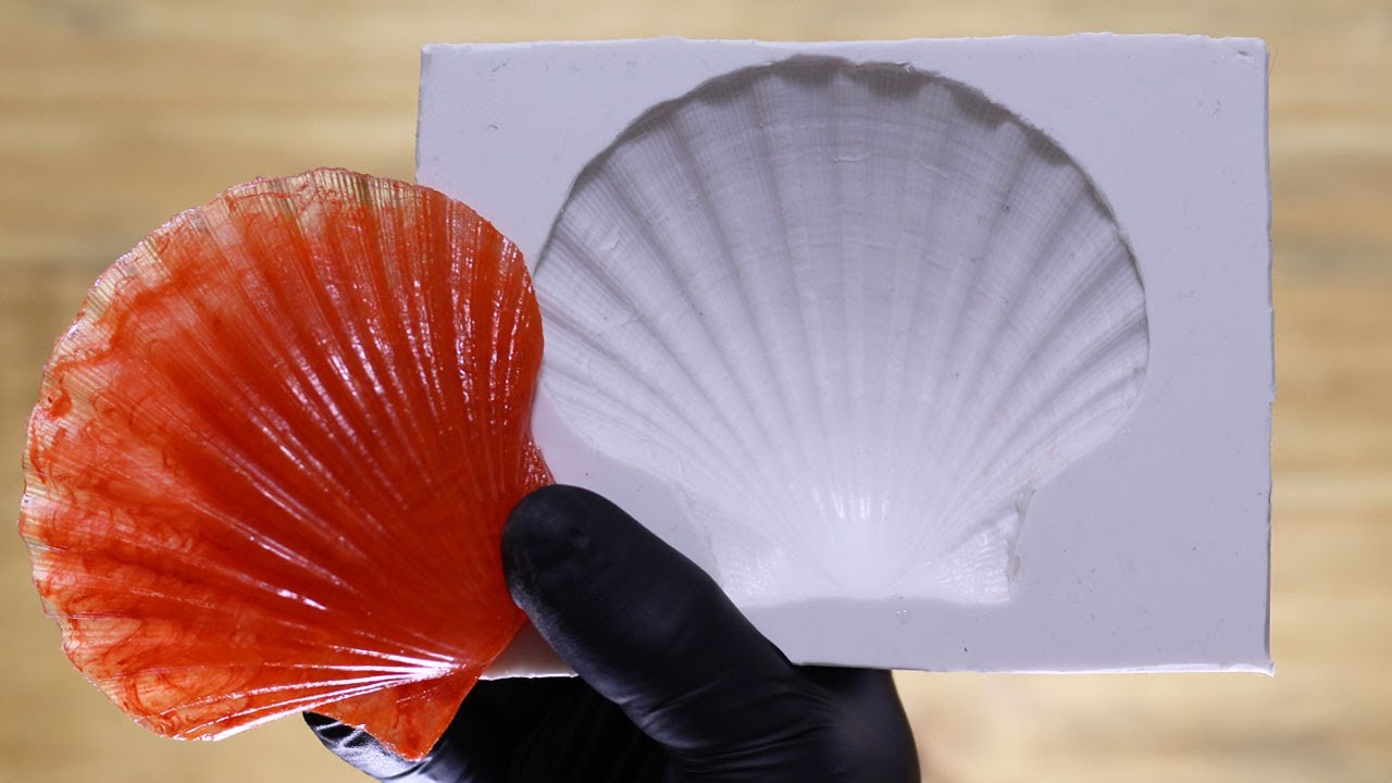 Moldes de Silicone - Concha da Shell - YouTube