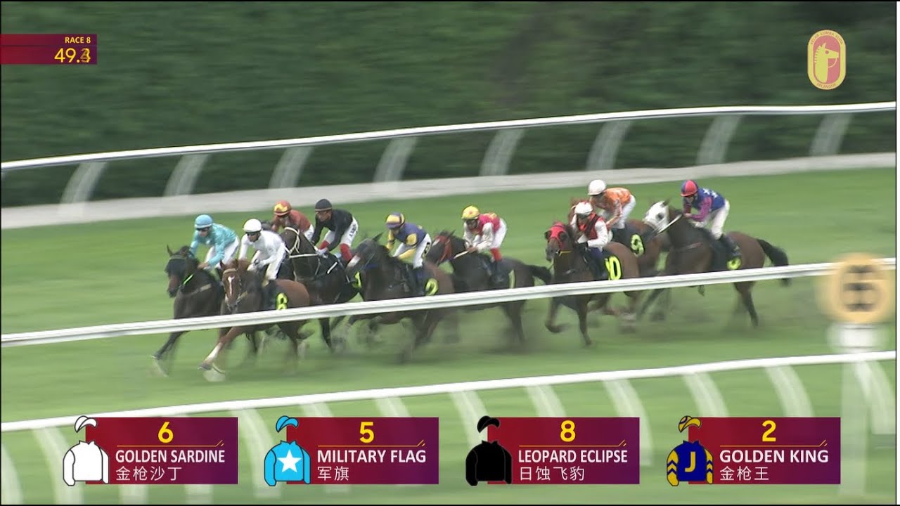 24 AUG 2024 RACE 8 - YouTube