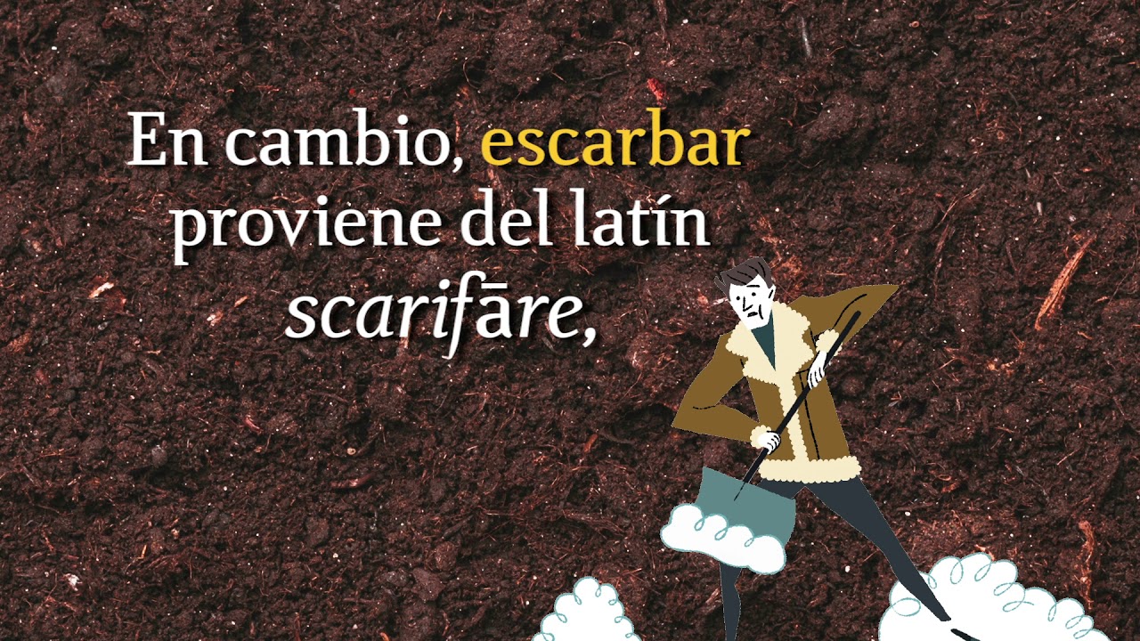 Excavar o escarbar - YouTube