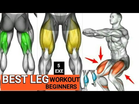 🤔How to train leg workout 👆5 Best workout tight and cutting legs 🦵 ...