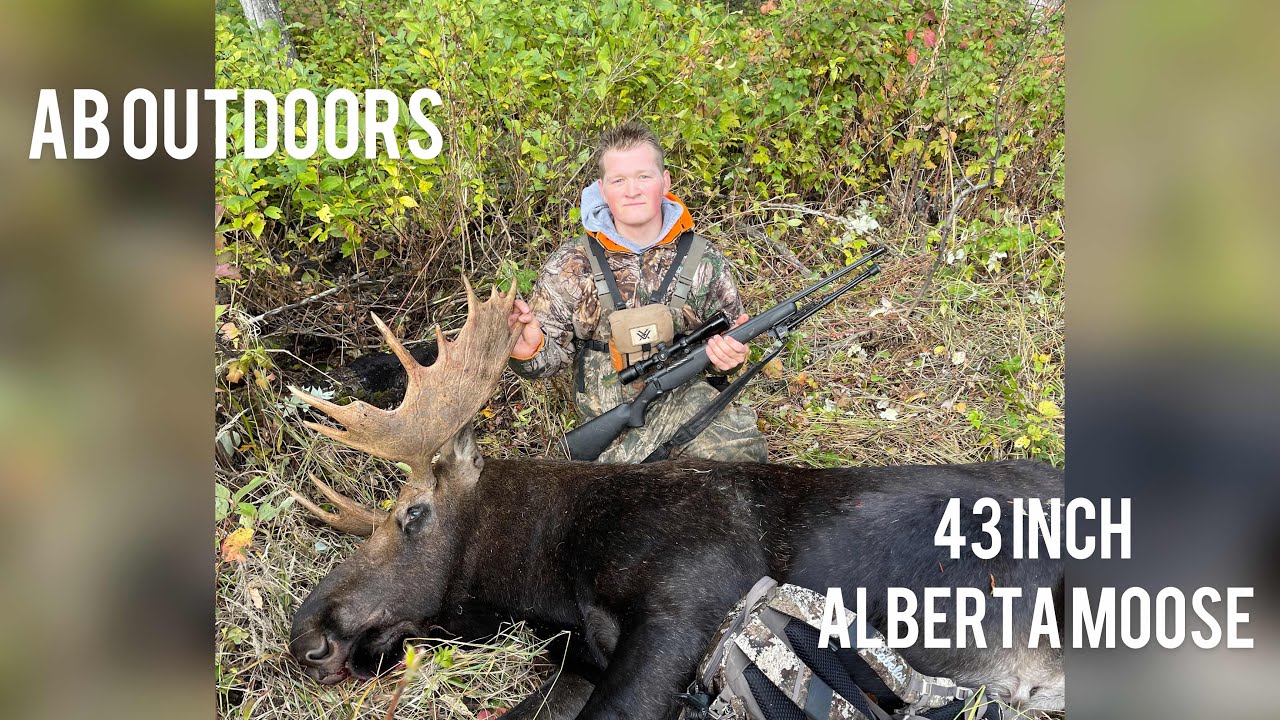 NORTHERN ALBERTA BULL MOOSE HUNT 2021 - YouTube