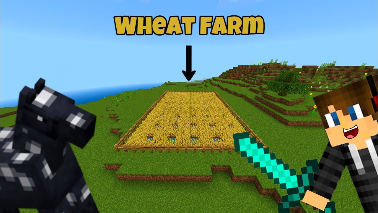 I Built a Giant Wheat Farm and Tamed My first Horse | Minecraft ...