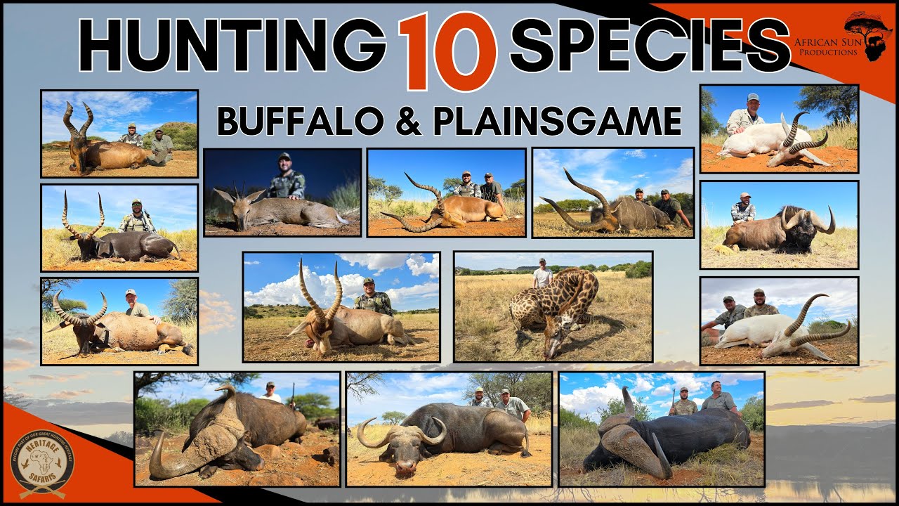Epic Buffalo hunting. Add a bunch of plains game, two excited hunters ...