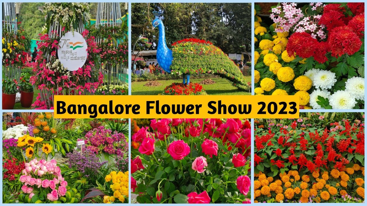 Republic Day Flower Show 2023 | Bangalore Flower Show 2023 | Lalbagh ...