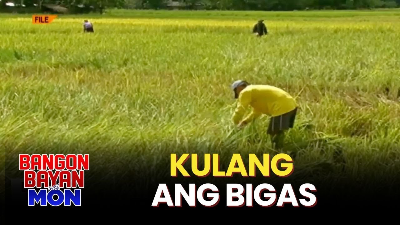 Marcos admin, aminadong kulang ang bigas sa bansa | #BangonBayanWithMon ...