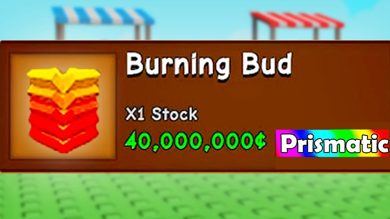 NOOB To BURNING BUD in Grow a Garden! - YouTube