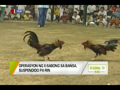 GMA Regional TV News: Operasyon ng E-sabong sa Bansa, Suspendido pa rin