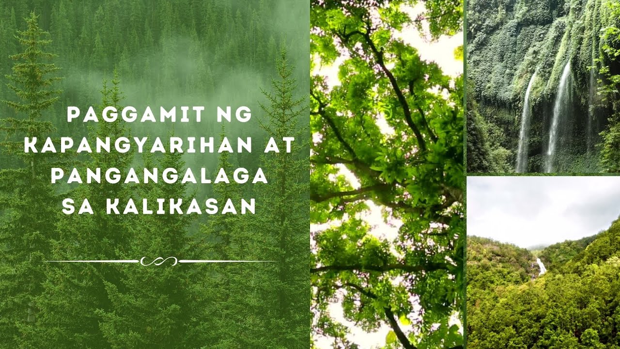 Q3: WEEKS 7 & 8: PAGGAMIT NG KAPANGYARIHAN AT PANGANGALAGA SA KALIKASAN - YouTube