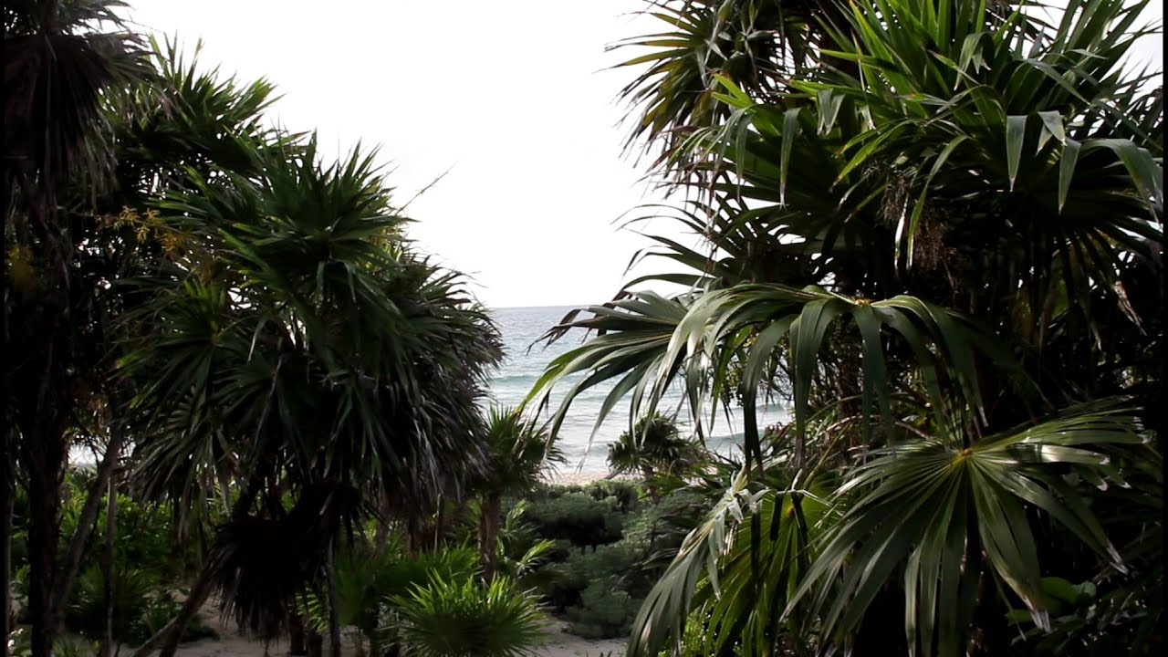 Valentin Imperial Maya Emerald Suite Ocean View From Balcony - YouTube