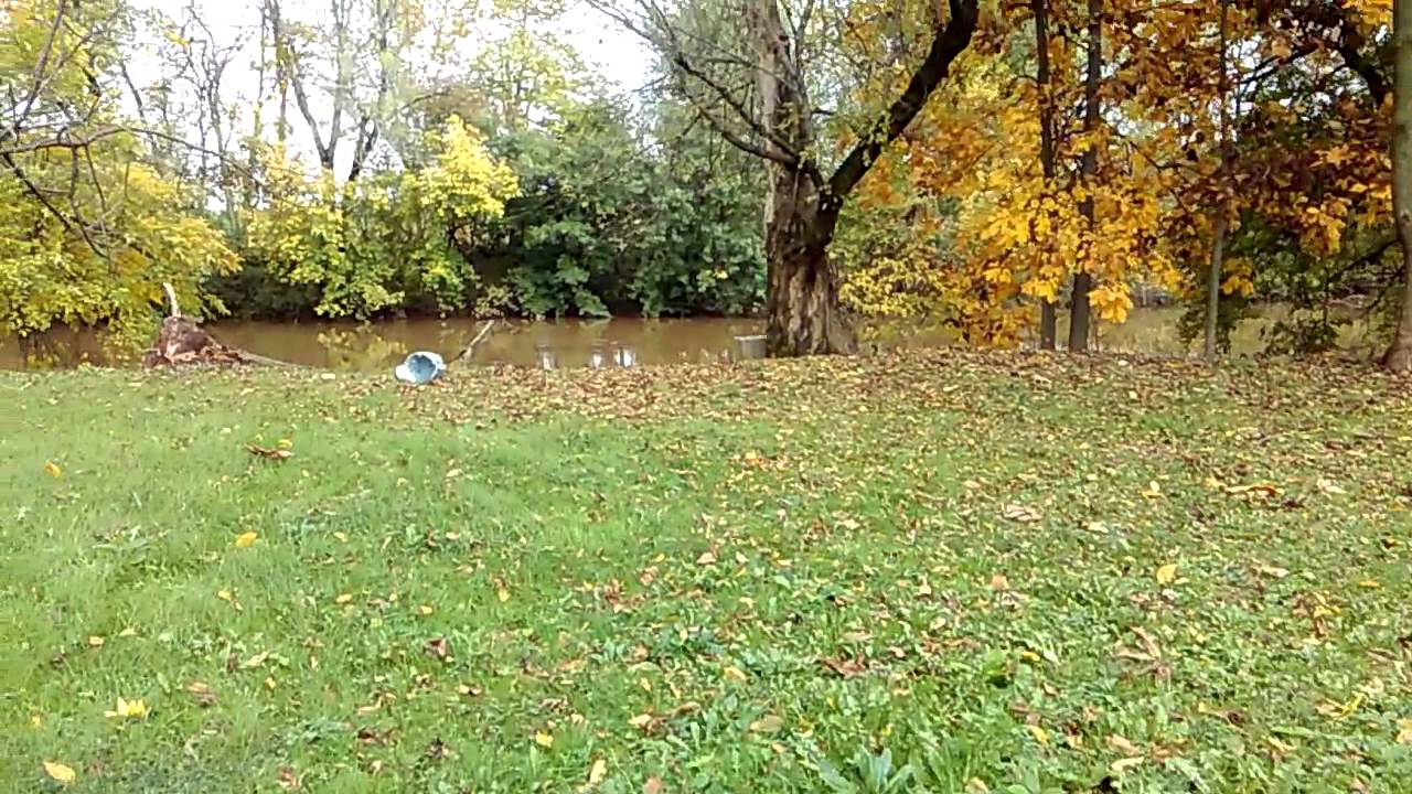 410 number 4 shot up close - YouTube