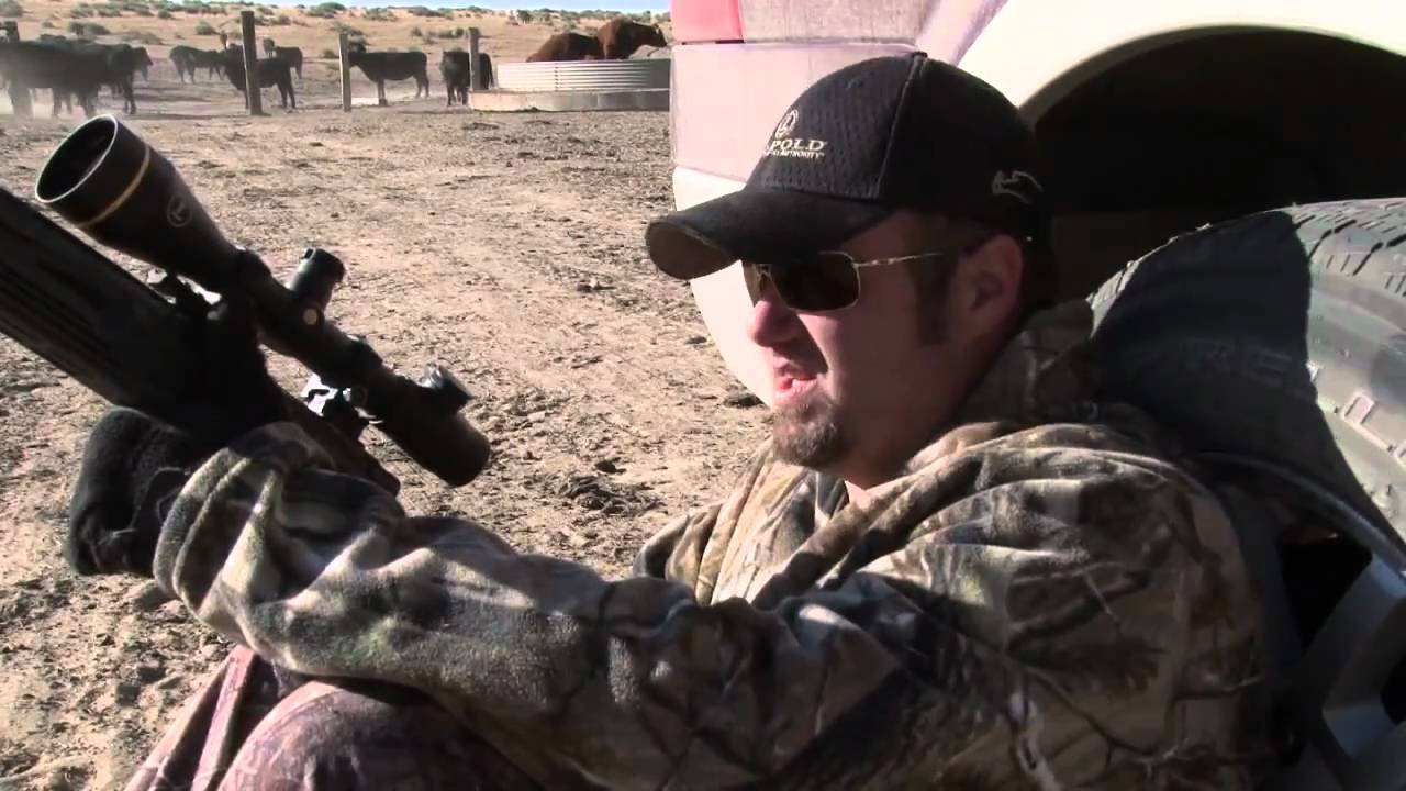 Pigmantv.com Howa Rifle Promos - Hog Hunting Kill Shots - YouTube