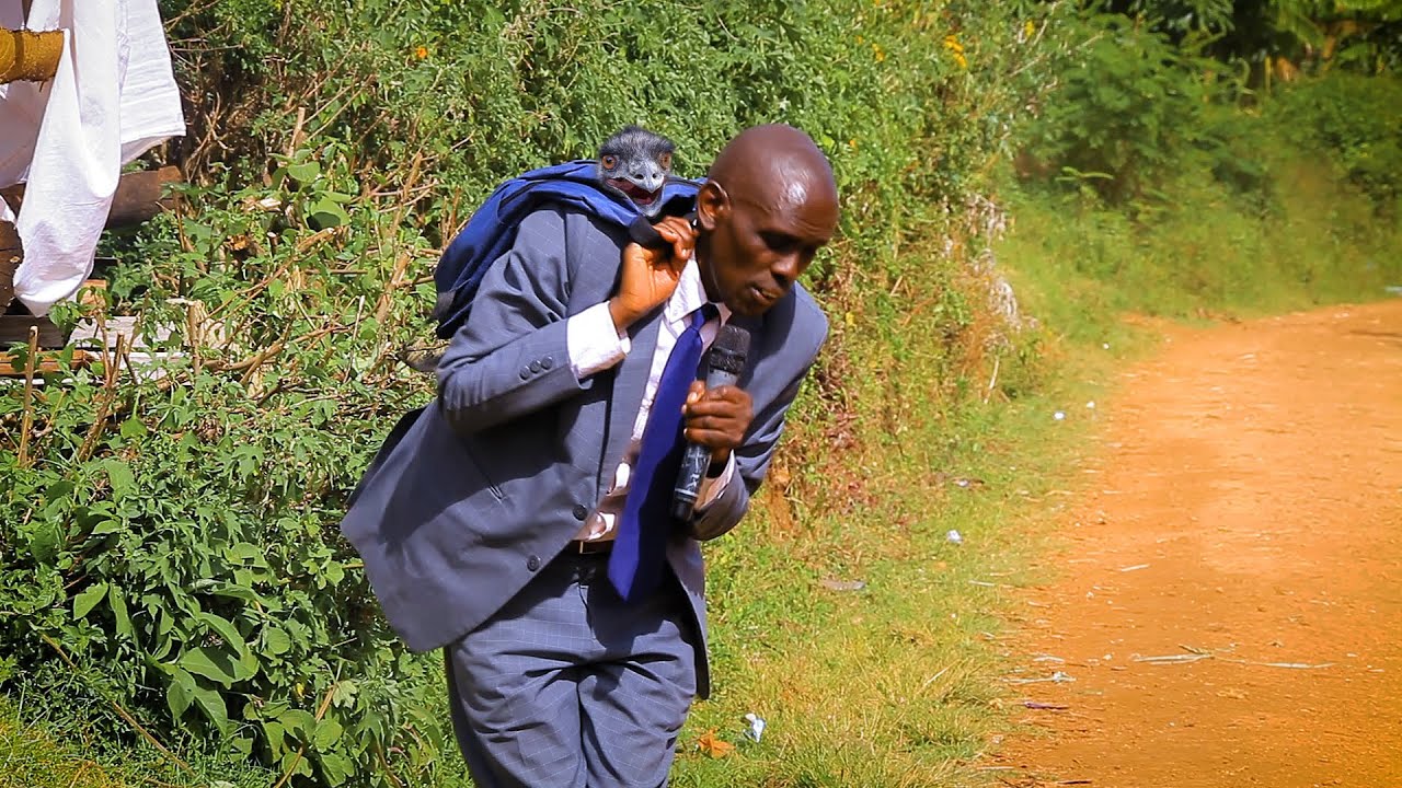 HOW WE CARRIED OSTRICH TO THE WITCH DOCTOR, A STORY THAT WILL CHANGE ...