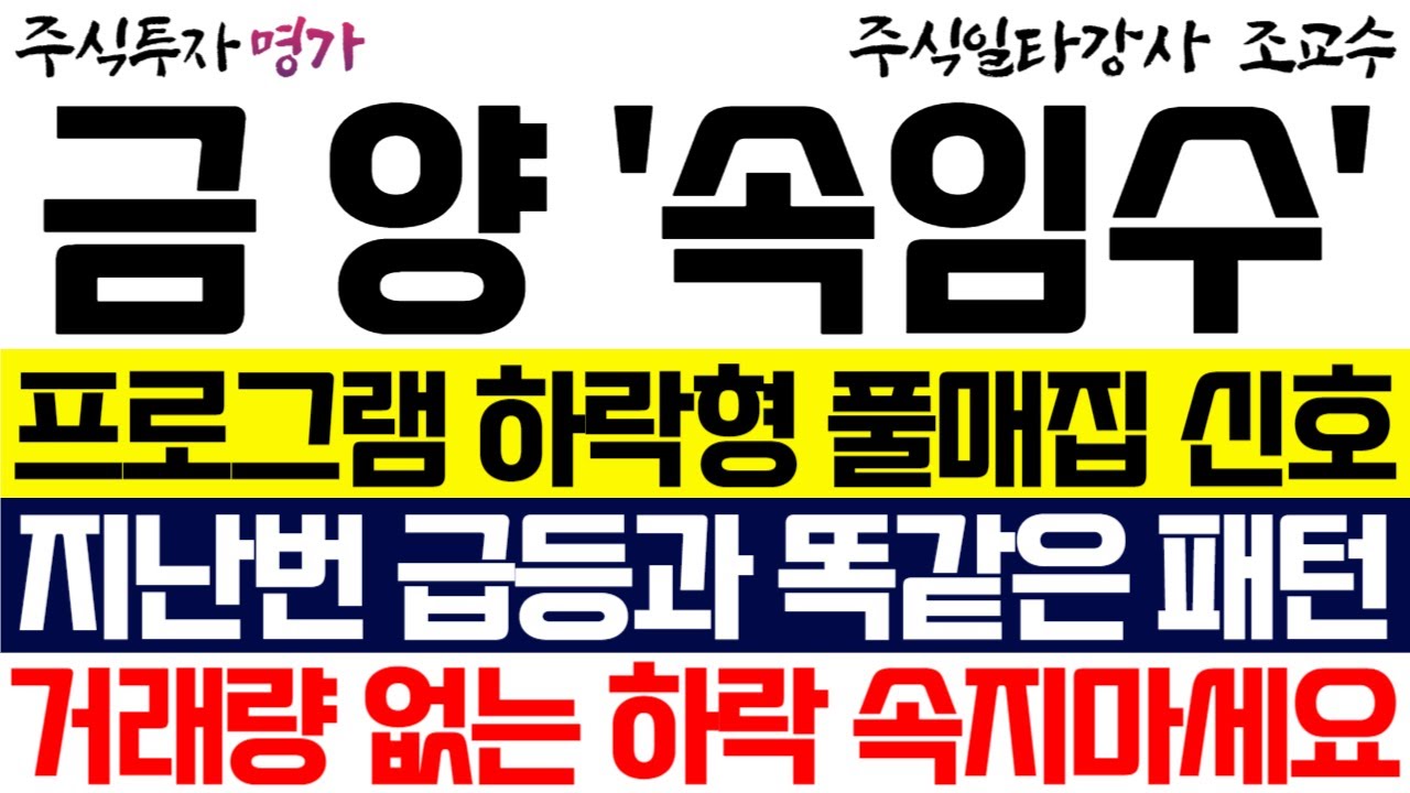 금양 주가 조교수 프로그램 하락형 풀매집 시그널 지난번 급등과 똑같은 패턴 거래량 없는 하락 속지마세요 Youtube