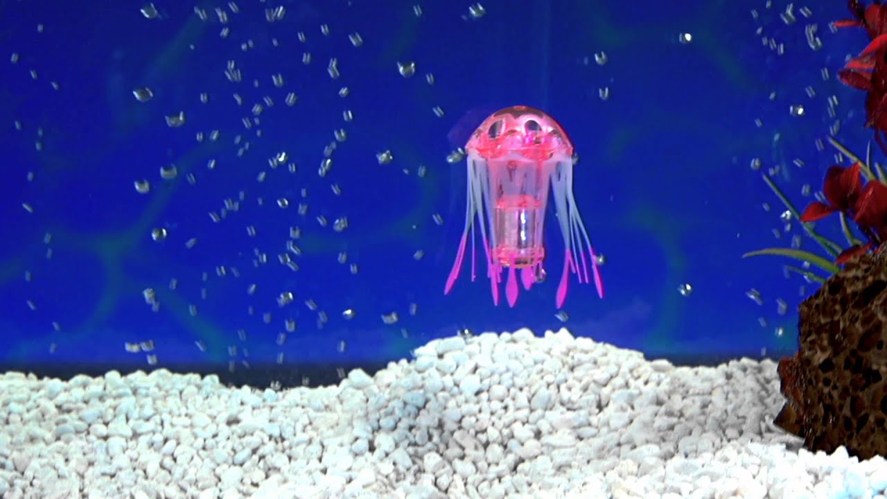 HEXBUG Aquabot Seahorse & Jellyfish - YouTube
