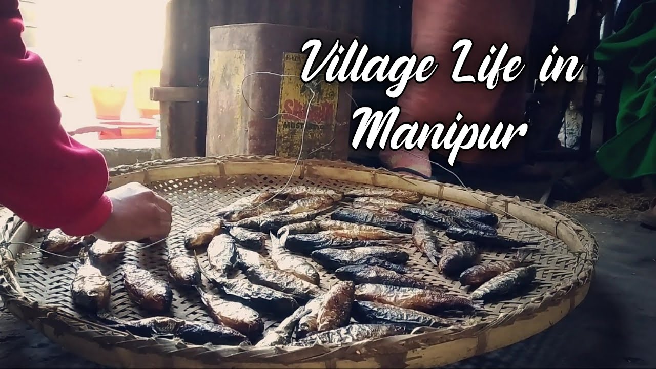 Village life in Manipur | Let's catch some fish | Manipuri traditional ...