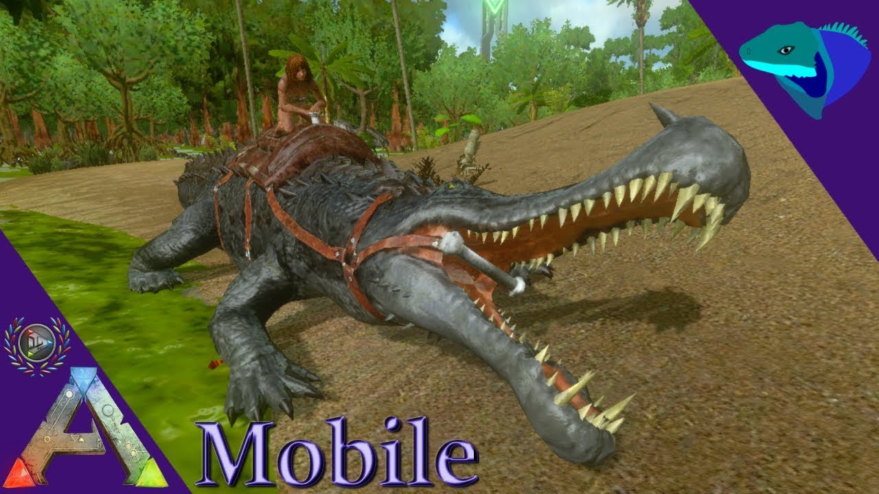 SARCO TLC, SOOTHING BALMS, SINGLE PLAYER AMBER OFFERS! SO MUCH! ARK ...