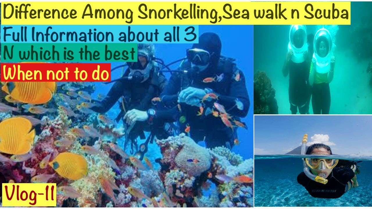 Difference Among Snorkeling,Sea walk n Scuba ll which one is the best ...