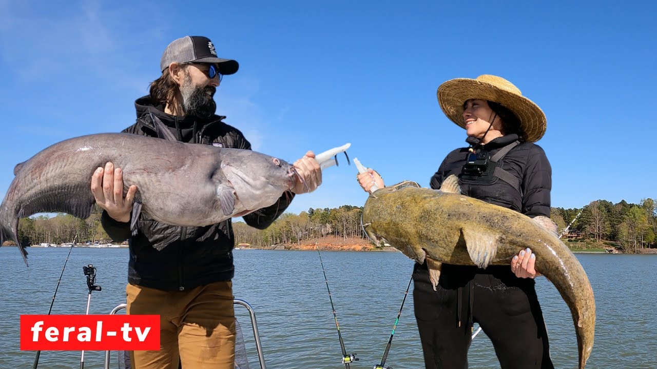 Spring Catfishing on Lake Wylie (Who Caught the BIGGEST fish??) - YouTube