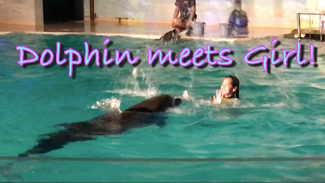 Dolphin 🐬 Swims with a Japanese 🇯🇵 Girl 👧 | Suma Aqualife Park, Kobe, 🗾 ...