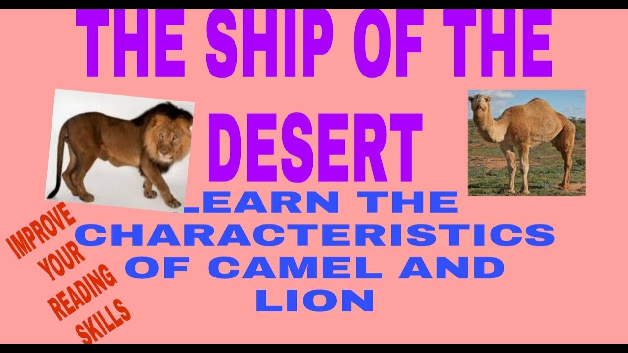 THE SHIP OF THE DESERT CLASS 3 ENGLISH education YouTube the-ship-of-the-desert-class-3-english-education-youtube
