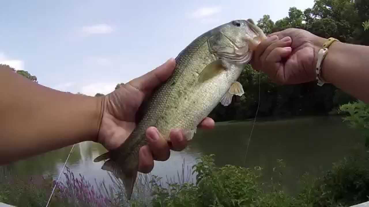 Exploring and Fishing the Runnemede Lake & Surroundings (Runnemede, NJ ...