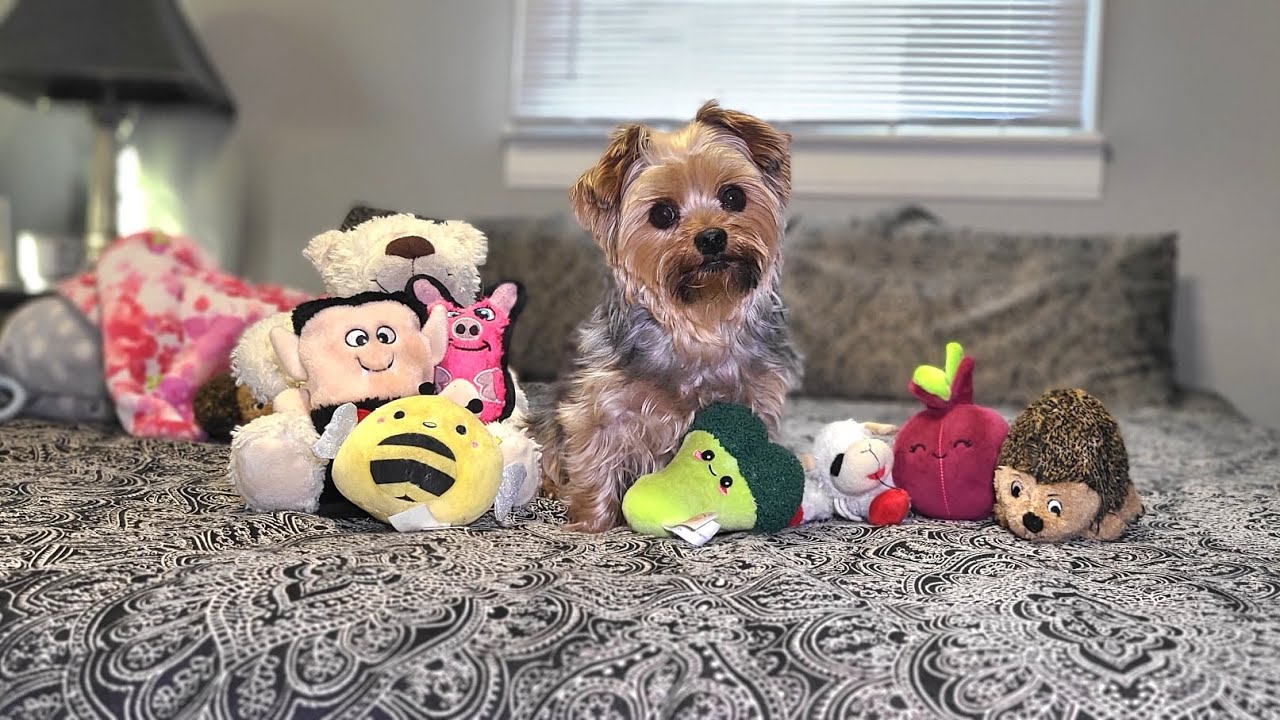 Rylie's Silly Morning Fun: Toys Flinging and Flying Everywhere! # ...