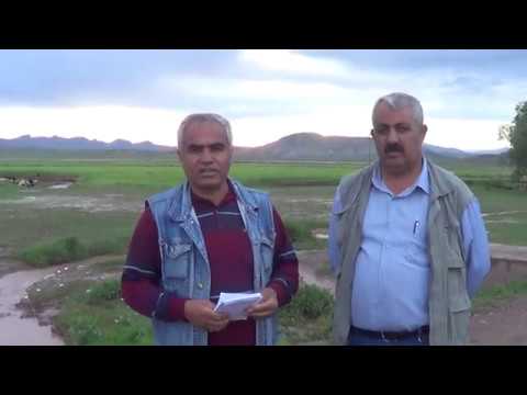 AĞRI DOĞUBEYAZIT ORTADİREK KÖYÜ MUHTARI ADNAN KAYA DERE ISLAHI YAPILMALI