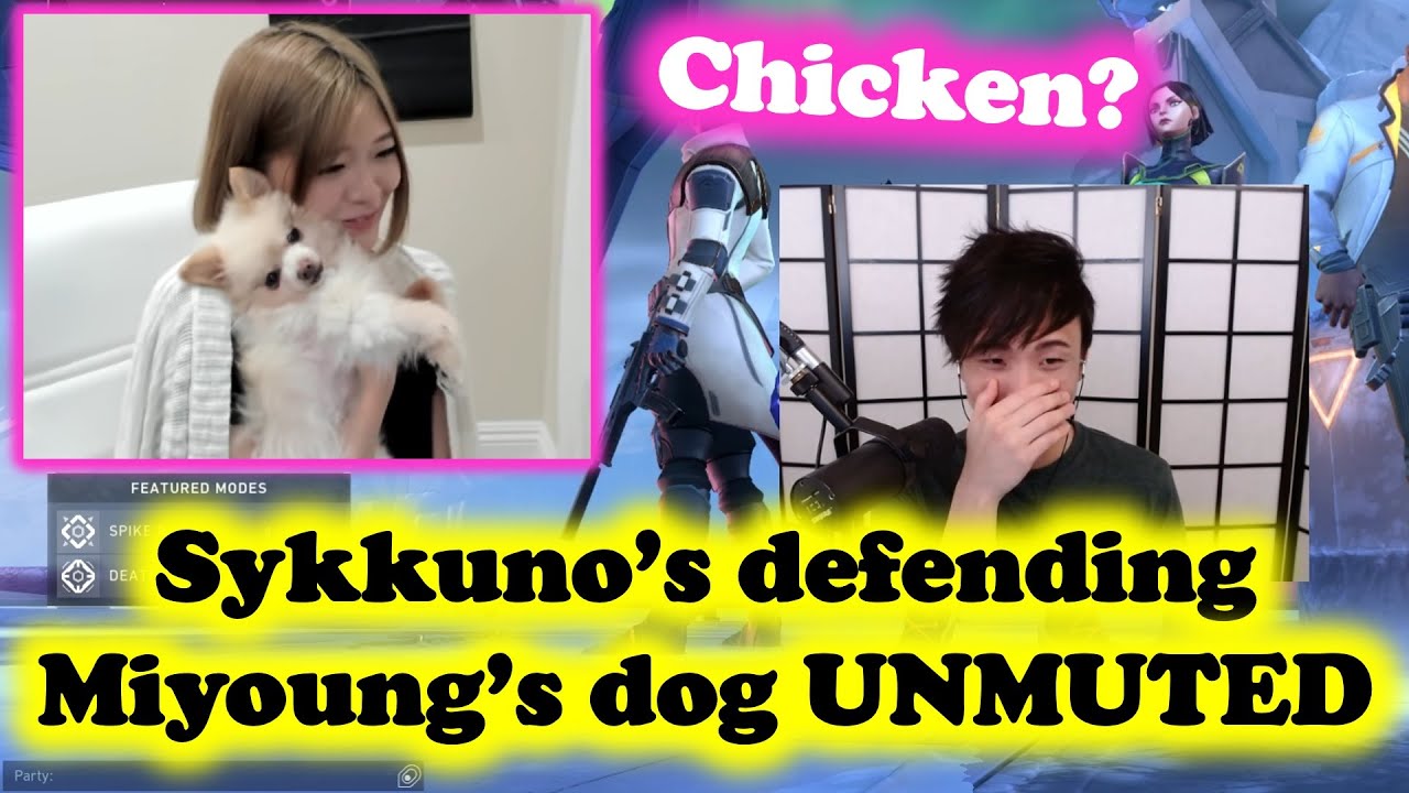 'Chicken?' | Sykkuno's defending miyoung's dog UNMUTED | Short Clip ...