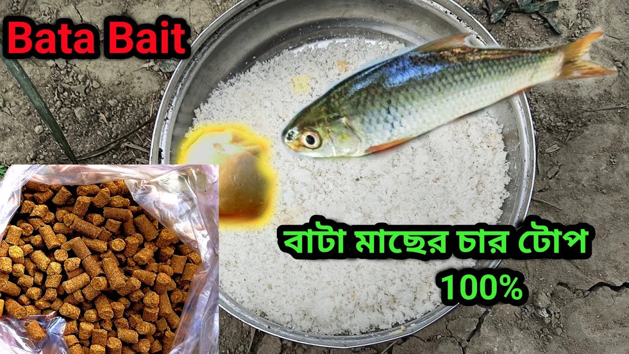 Bata Mach Dhorar Char Top 100% Genuine || বাটা ধরার নতুন টোপ ও চার 2025 ...