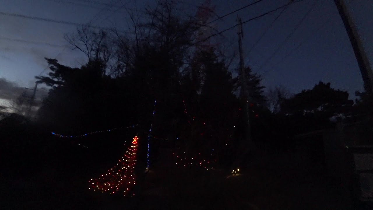 Nature Wonderland; removing another big stump and many more smaller stubs 20250221 - YouTube