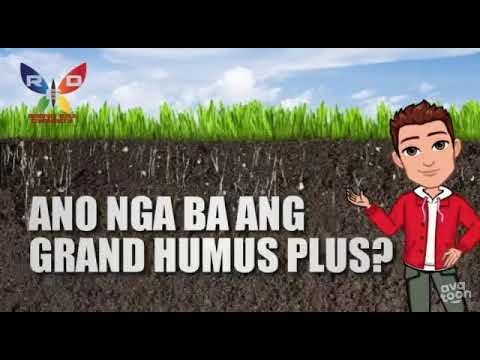ANO NGA BA ANG GRAND HUMUS PLUS | Fully Explained - YouTube