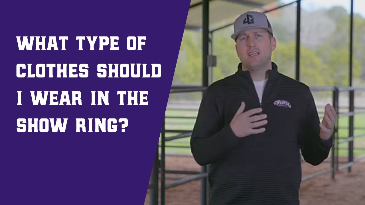 What Type of Clothes Should I Wear in the Show Ring? - YouTube