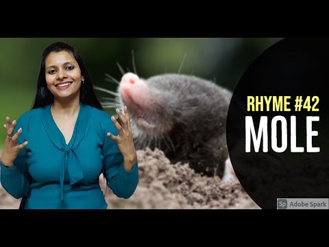 Rhyme #42 | Mole | Rhyme for Kids - YouTube