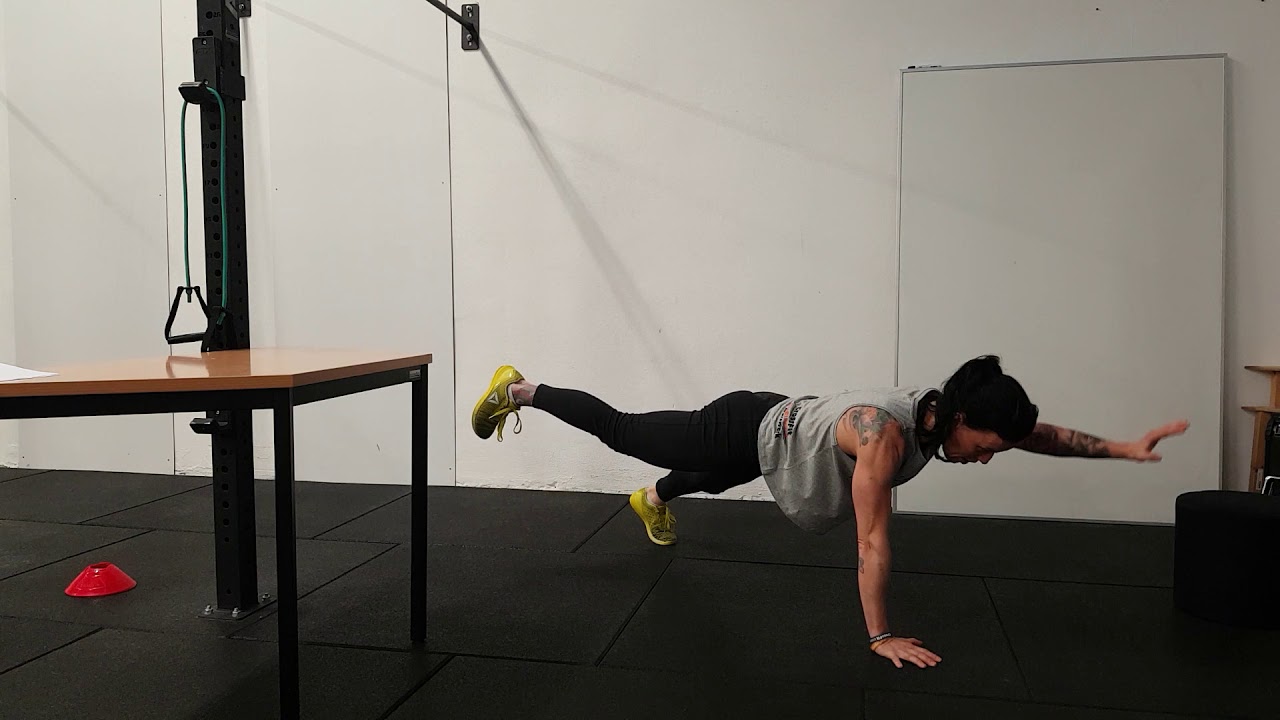 plank diagonal lift / Diagonales Heben im Stütz - YouTube