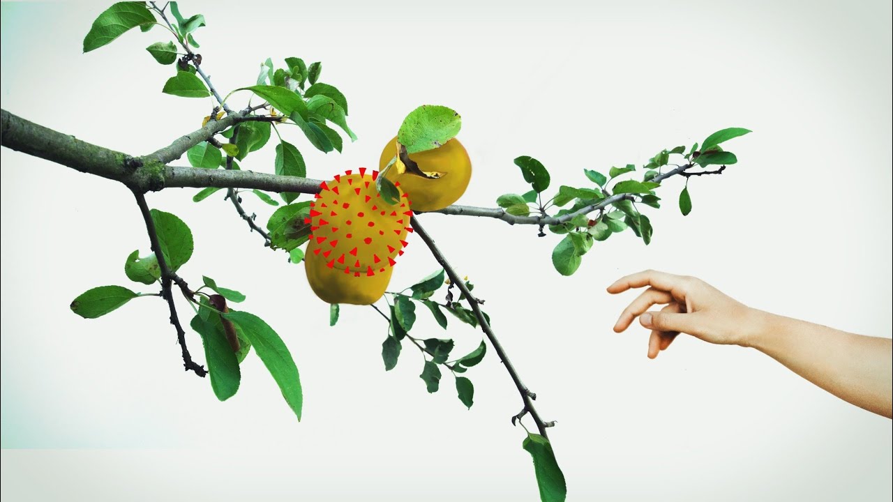 COVID-19: Nature fighting back? - YouTube