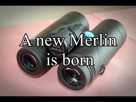 Get Your HANDS ON The Viking Merlin 8x42ED binoculars NOW! - YouTube