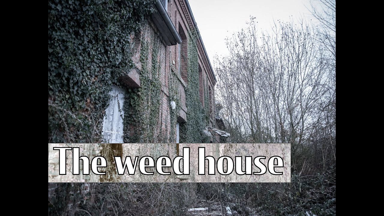 The weed house - YouTube