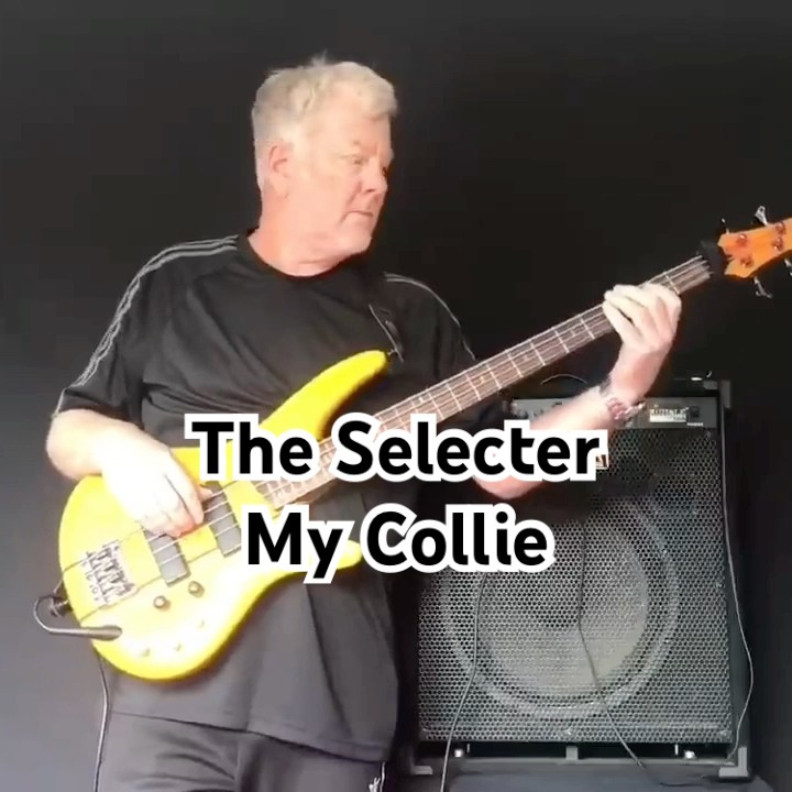 The Selecter,My Collie isolated bass cover.#shorts #Theselecter # ...