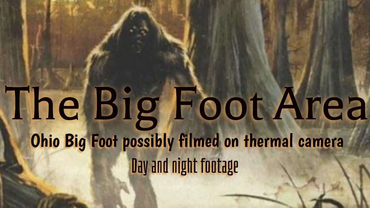 The Big Foot Area ( Big Foot caught on thermal ? ) - YouTube