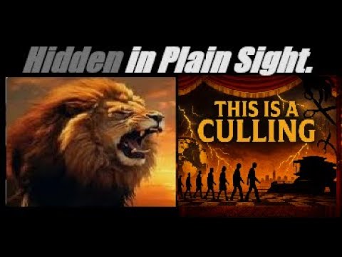 Corporate Greed and Public Apathy Exposed. Mannarino - YouTube