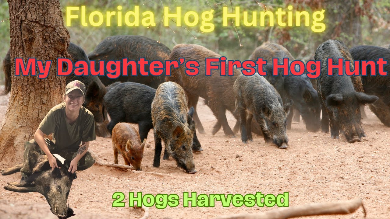 Unforgettable: My Daughter's First Hog Hunt Ever Florida #hoghunting # ...