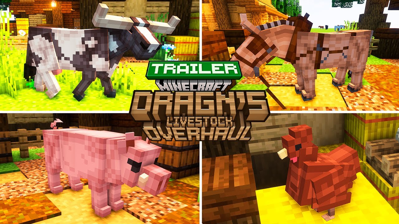 DRAGON'S LIVESTOCK OVERHAUL MOD MINECRAFT TRAILER /1.20.1 - YouTube