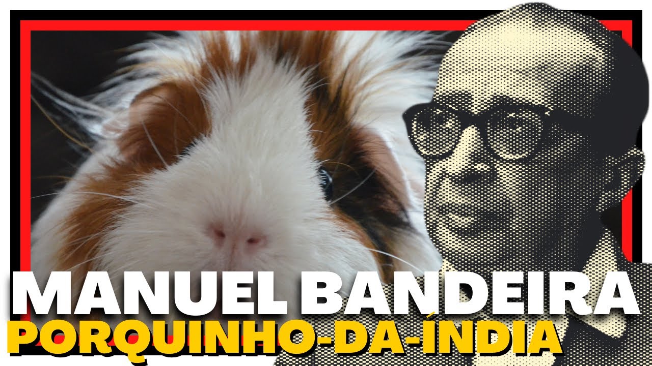 Manuel Bandeira Porquinho Da India - LIBRAIN