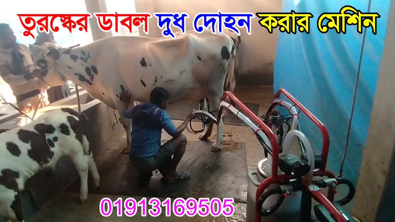 Milking Machine Price In Bd at Danita Foster blog