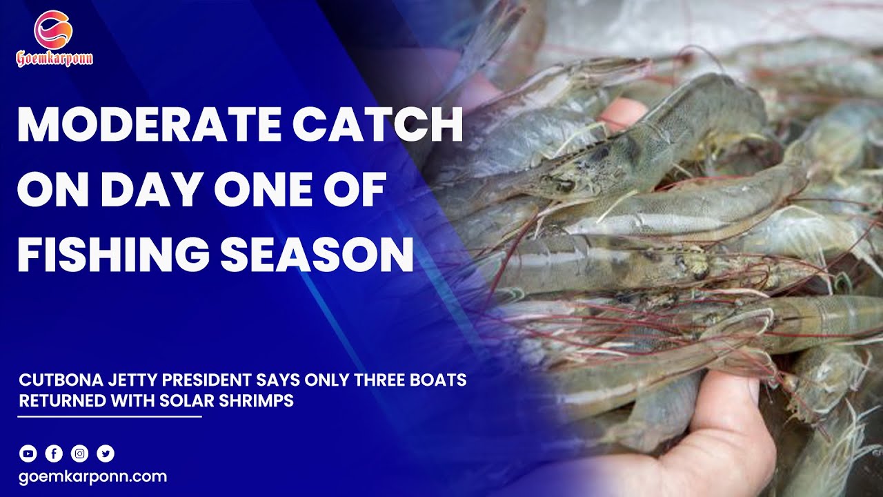 Moderate start to Fishing Season in Goa - YouTube