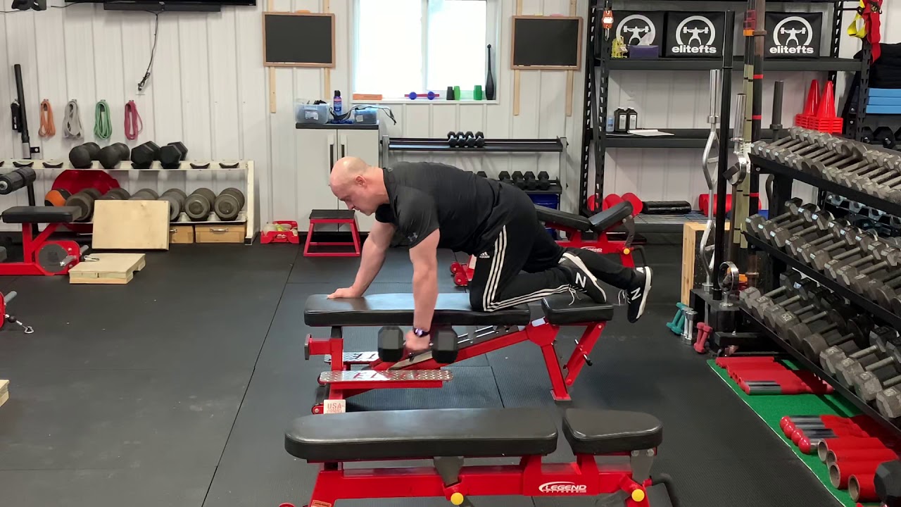 Dumbbell Single Arm Bird-Dog Row Iso Hold - YouTube