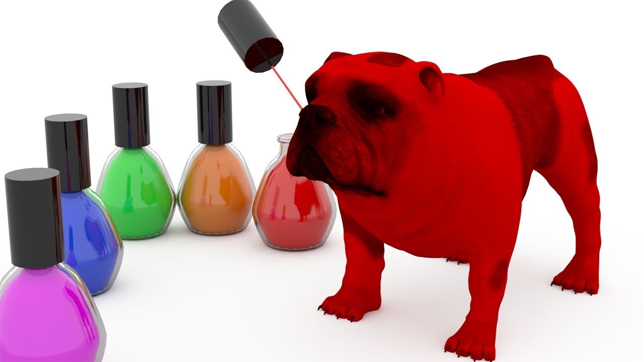 Learn Colors with Dogs Xylophone, Lipstick, Nail Polish Toys | Learning ...